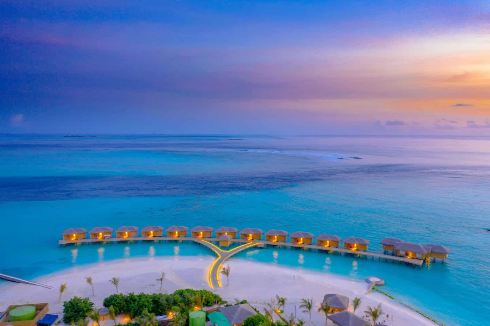 Top 5 Essential Executive Retreats for Health and Wellness